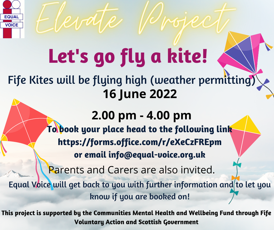 News: Let's go fly a kite! Elevate project (Equal Voice)